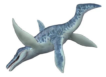 Pliosaurus | Dinopedia | Fandom powered by Wikia