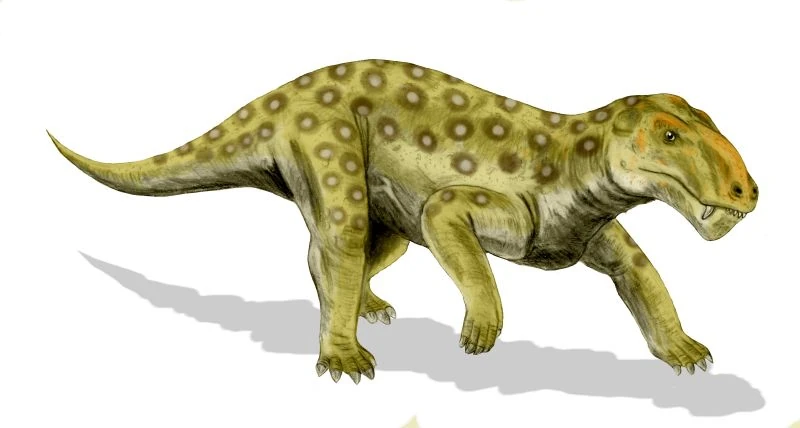 Lycaenops | Dinopedia | Fandom powered by Wikia