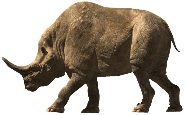 Embolotherium | Dinopedia | FANDOM powered by Wikia