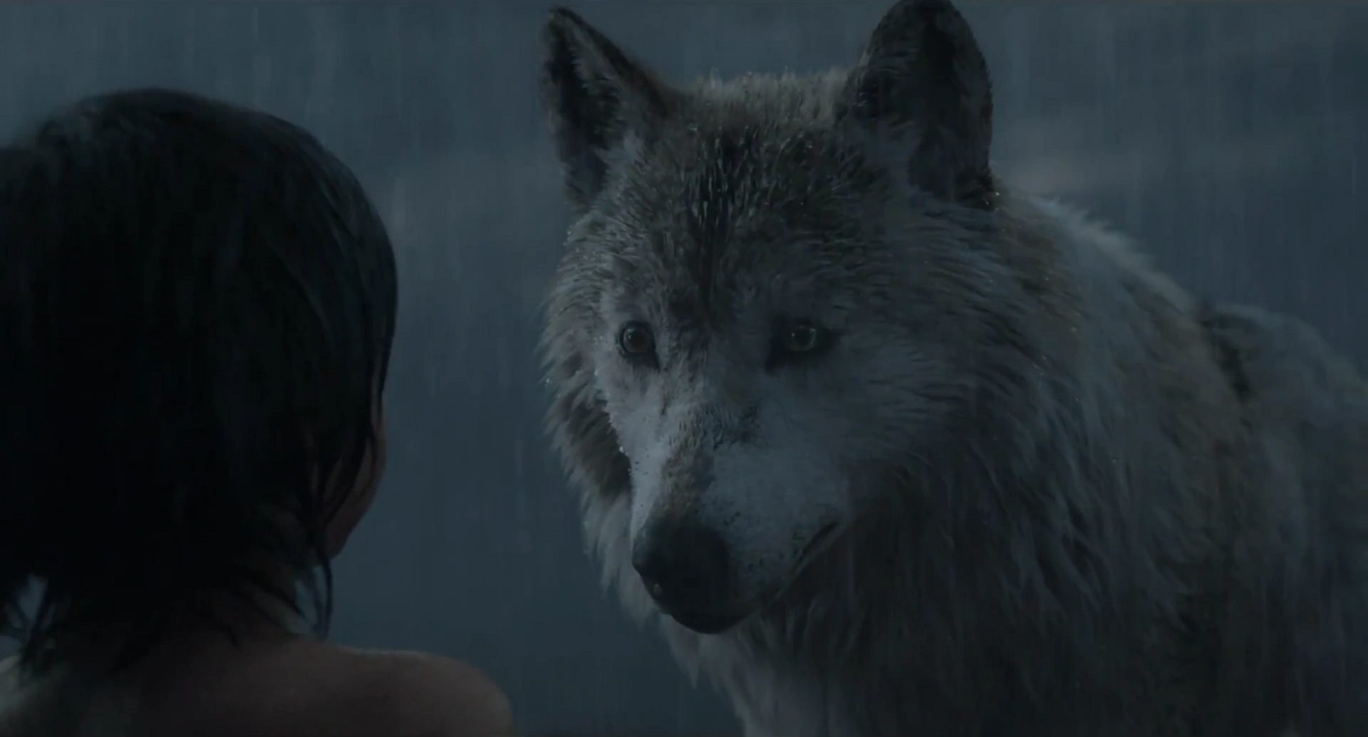 Jungle Book Raksha