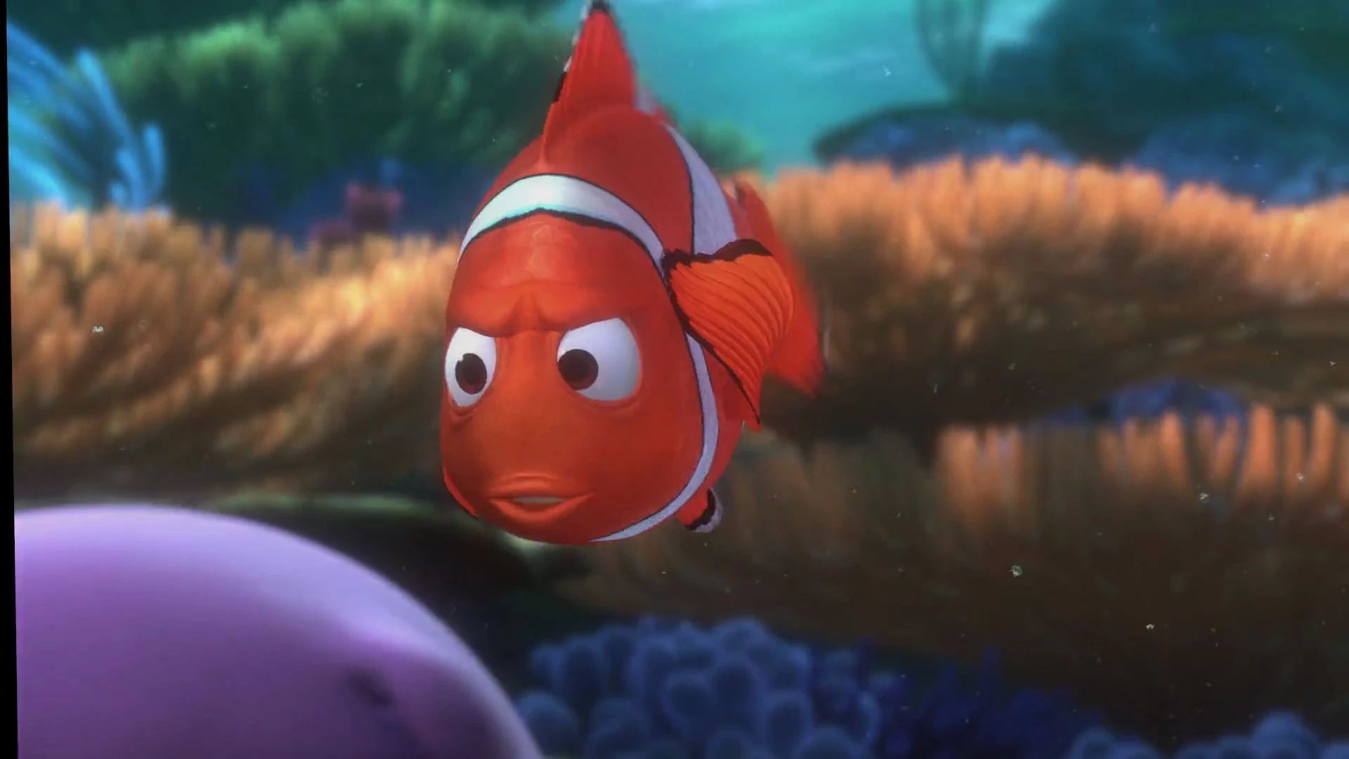 Image - Finding-nemo-disneyscreencaps.com-1112.jpg | Disney Wiki ...