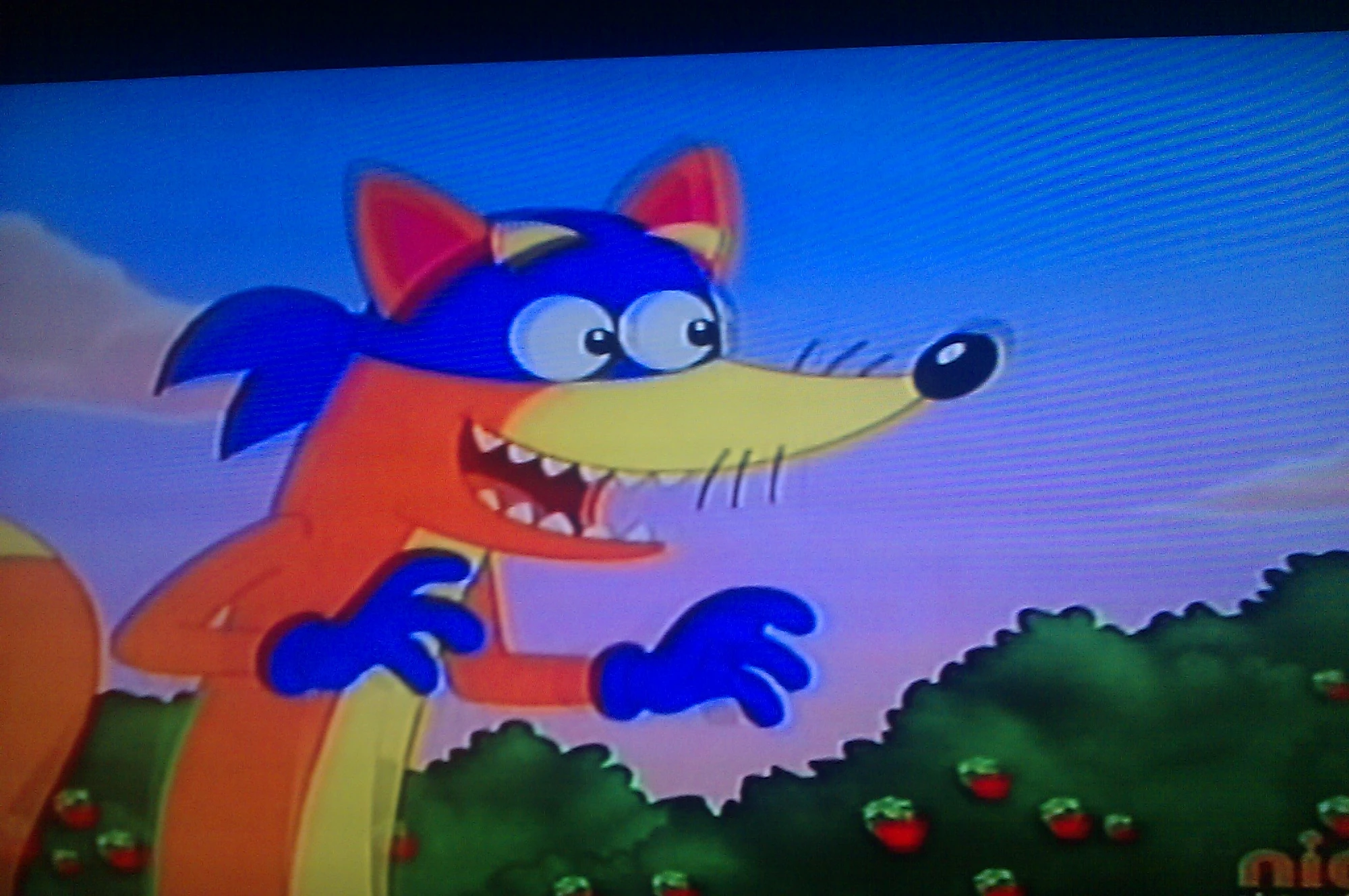 Image - IMAG0003.jpg | Dora the Explorer Wiki | FANDOM powered by Wikia