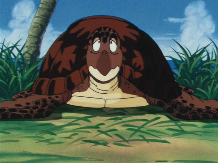 Turtle | Dragon Ball Wiki | Fandom powered by Wikia