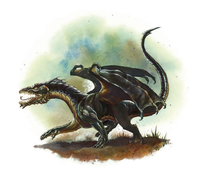 Black Dragon Dungeons And Dragons Dragons Fandom Powered By Wikia