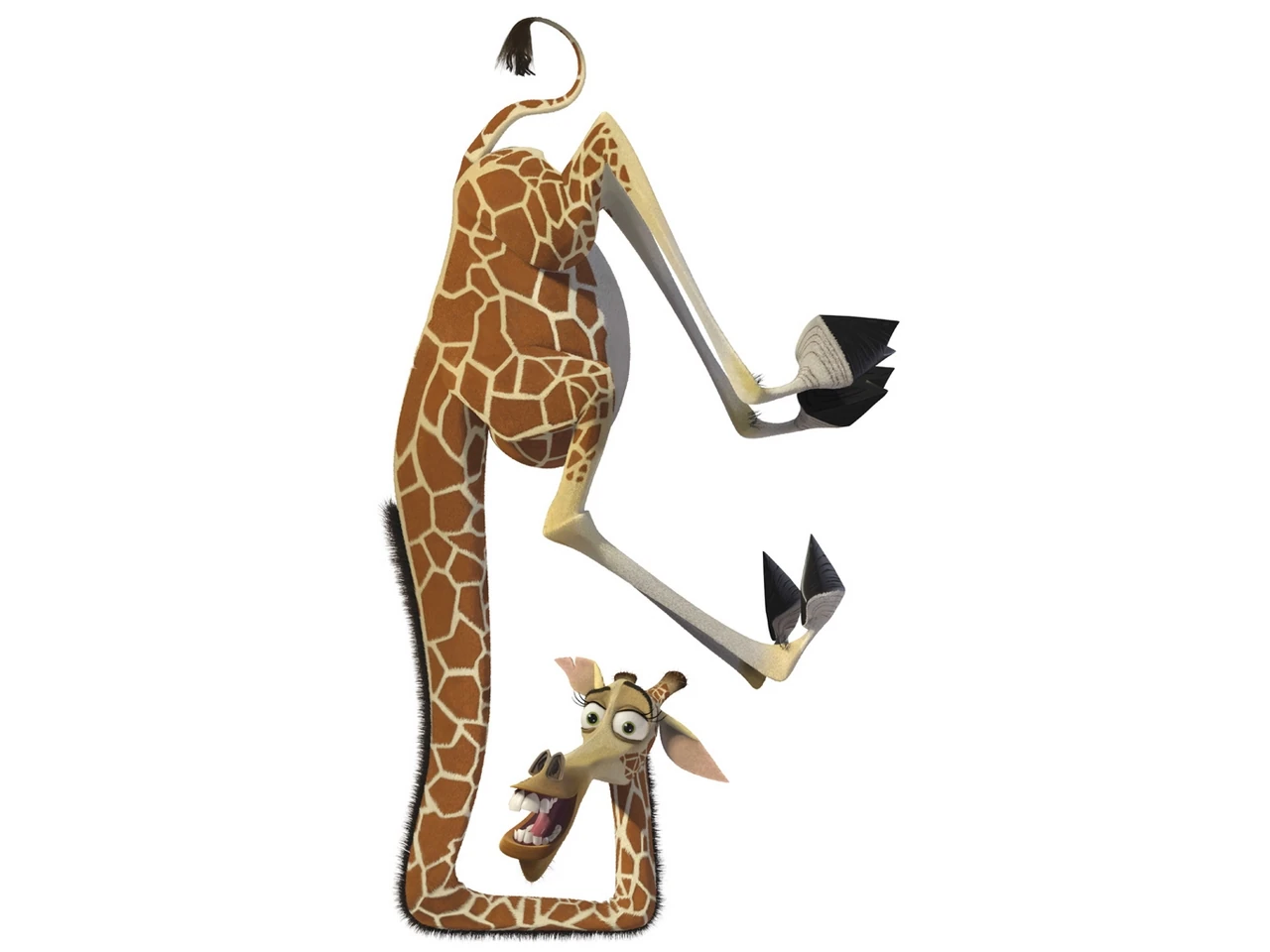Melman | Dreamworks Animation Wiki | Fandom powered by Wikia