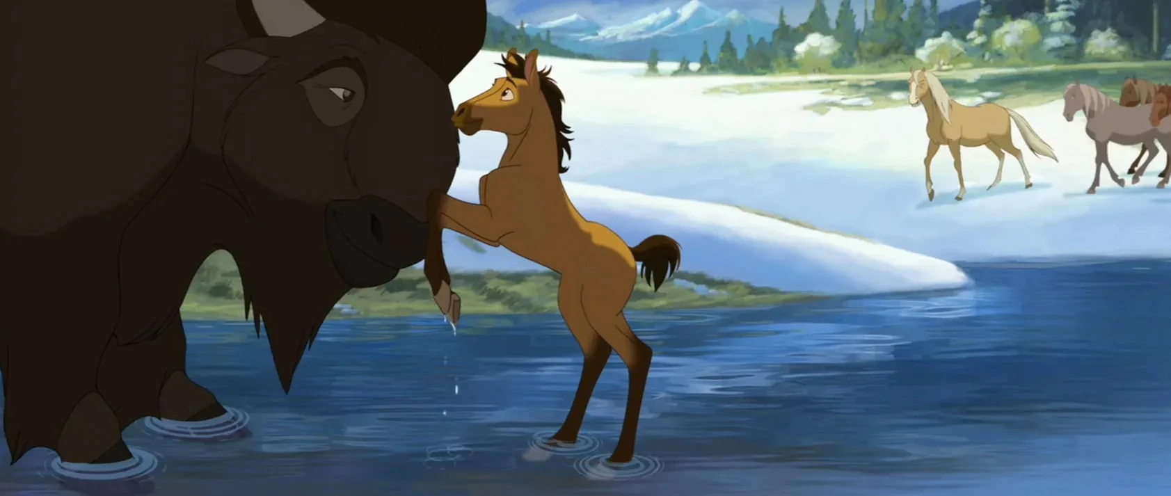 Image - Spirit.buffalo.jpg | Dreamworks Animation Wiki | FANDOM powered ...