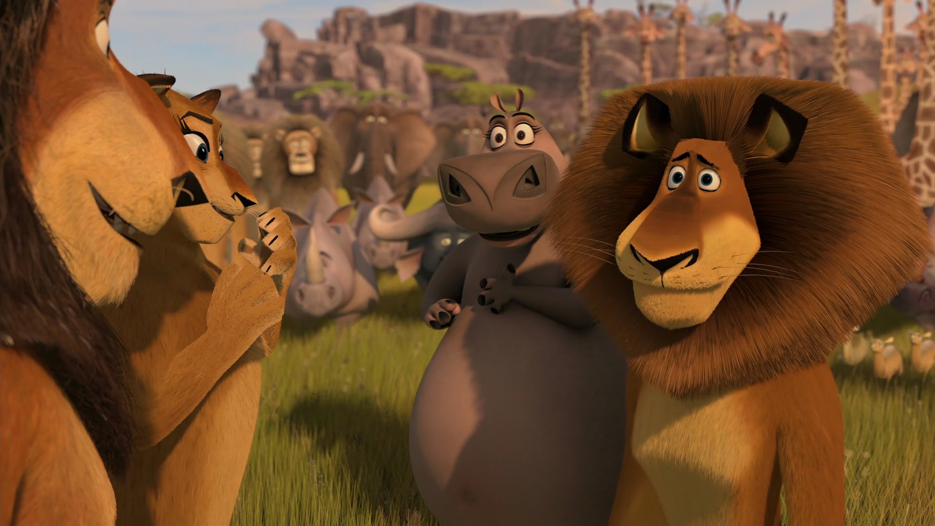 Image Madagascar2 2653 Dreamworks Animation Wiki Fandom Powered