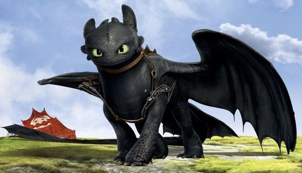 Toothless | Dreamworks Animation Wiki | Fandom powered by Wikia