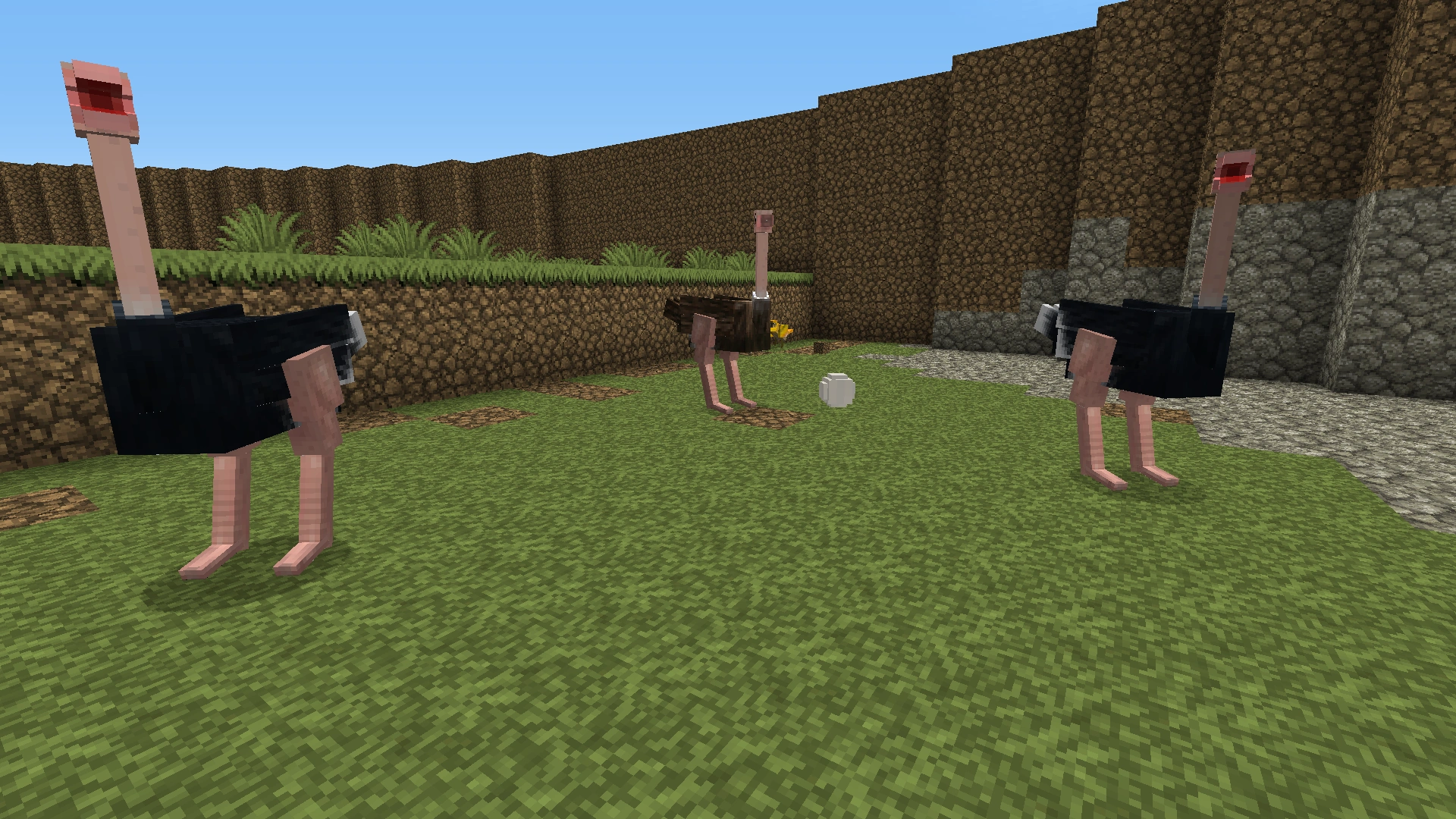 Ostrich | Mo' Creatures Wiki | Fandom powered by Wikia