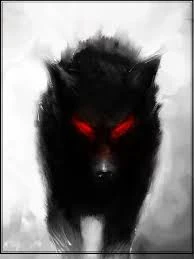 Cadejo | Wiki El Bestiario | FANDOM powered by Wikia