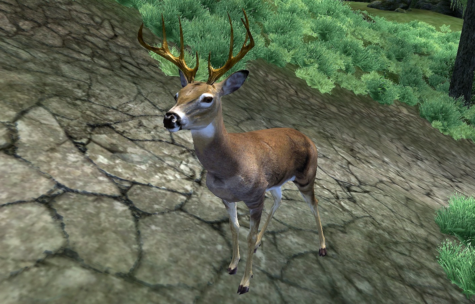 The new DK ability is OP and needs a nerf ASAP — Elder Scrolls Online