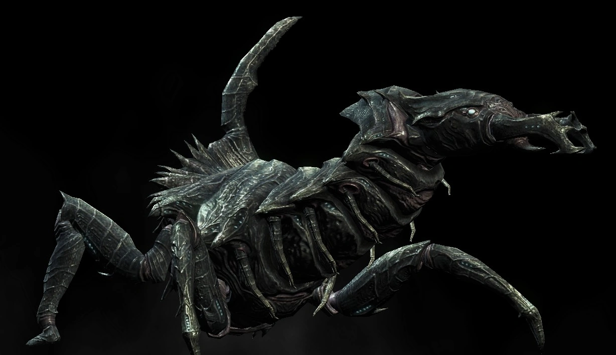 Falmer | The Elder Scrolls Wiki | FANDOM powered by Wikia