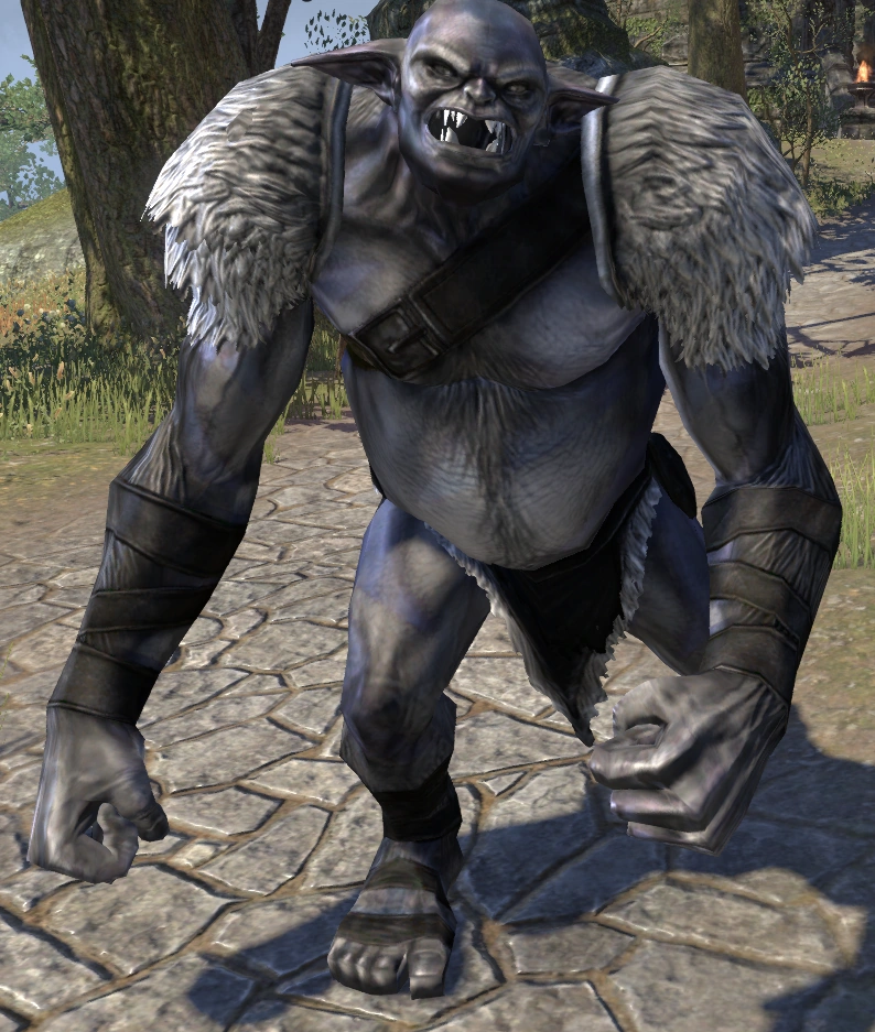 Ogre (Online) | Elder Scrolls | FANDOM powered by Wikia