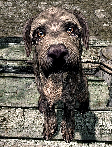 Category:Skyrim: Dogs | Elder Scrolls | Fandom powered by Wikia
