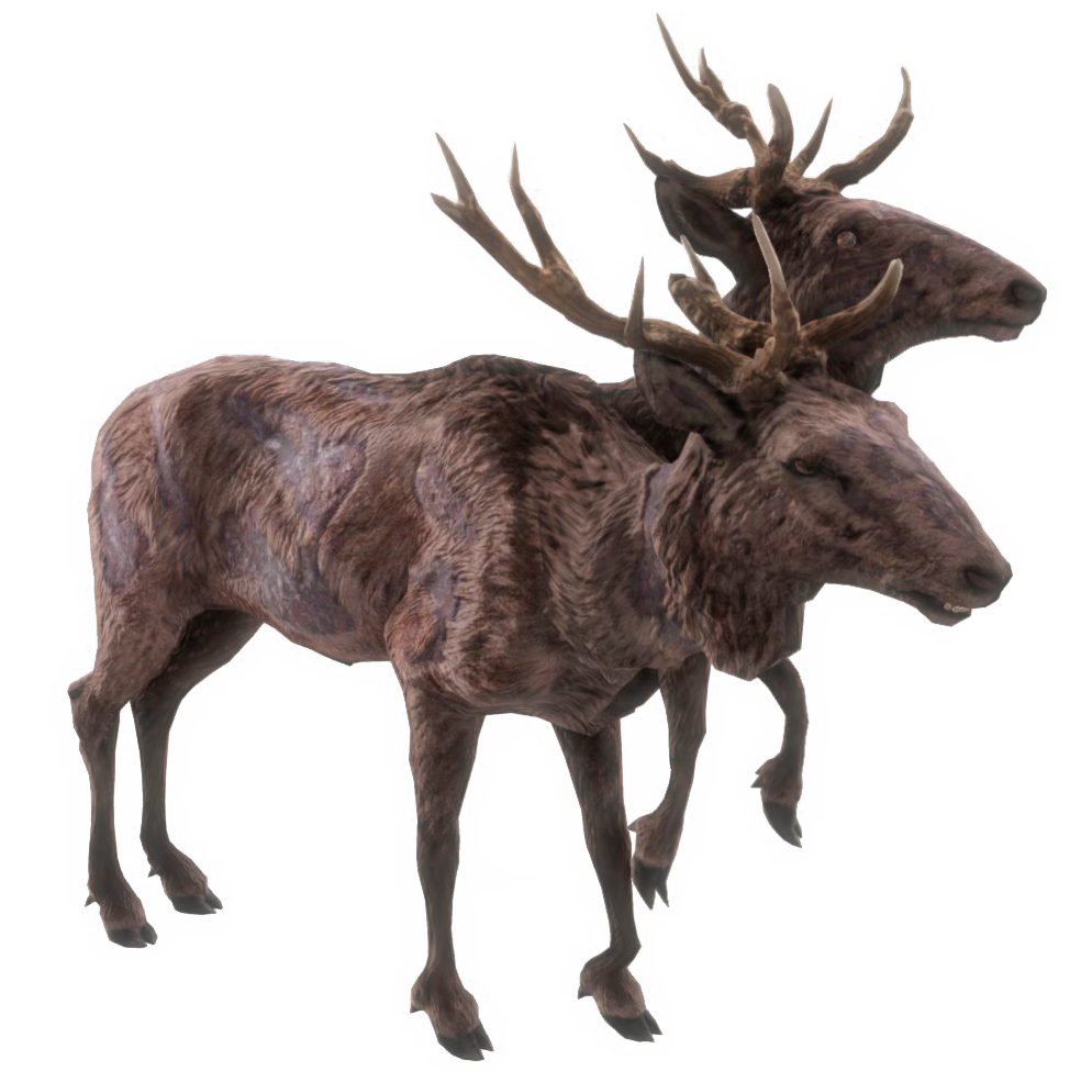 Radstag | Fallout Wiki | FANDOM powered by Wikia Radstag | Fallout Wiki | FANDOM powered by Wikia