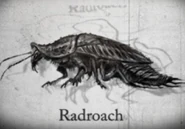 Radroach | Fallout Wiki | Fandom powered by Wikia