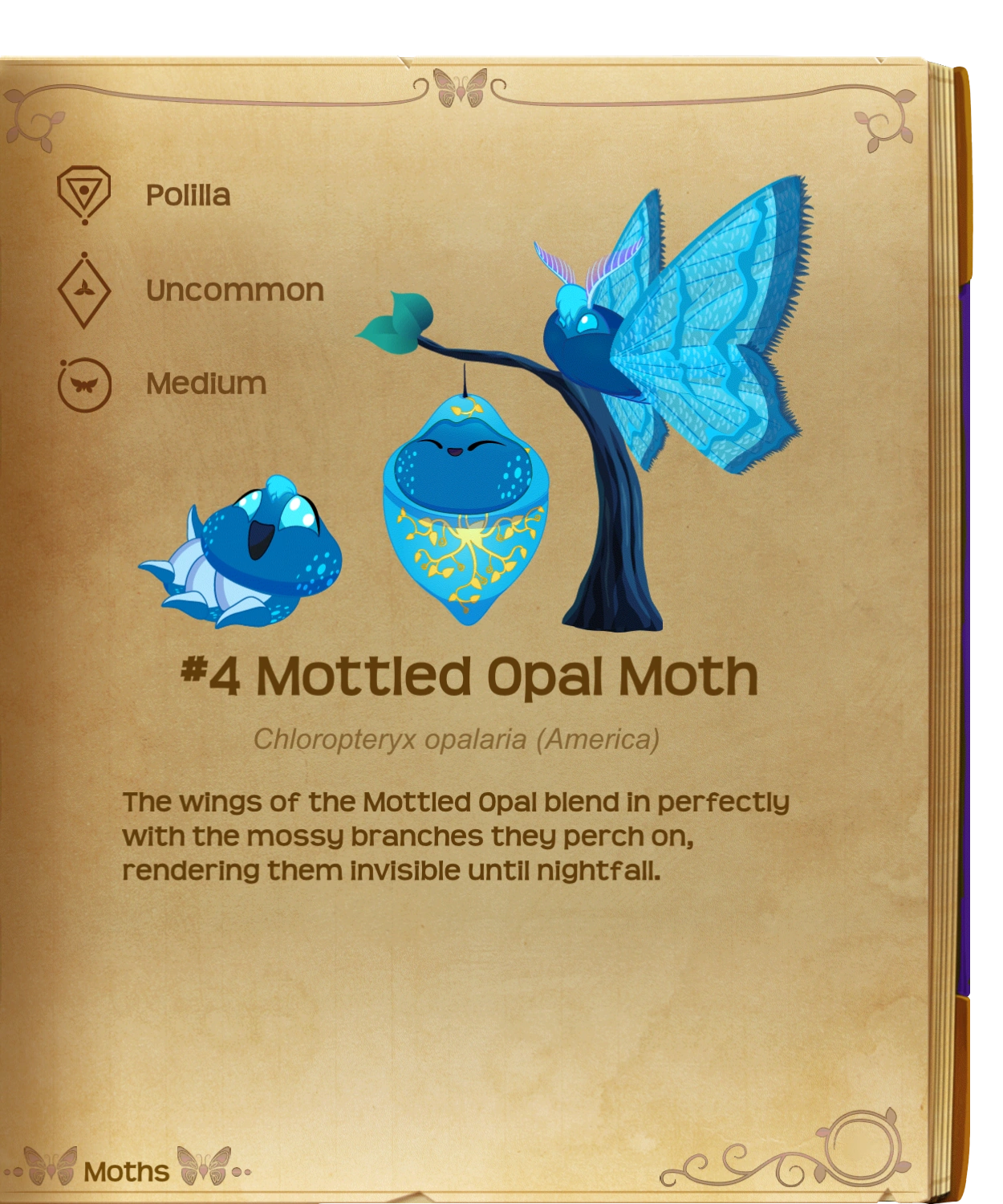 Mottled Opal Moth | Flutter: Starlight Wikia | FANDOM powered by Wikia
