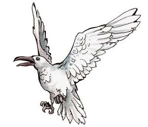 Silver Ravens | Forgotten Realms Wiki | FANDOM powered by Wikia