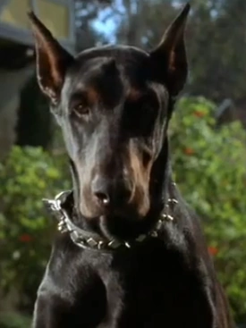 Image - Luca Garfield.png | Garfield Wiki | Fandom powered by Wikia