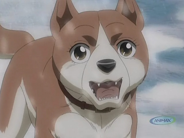 Reika Ginga Wiki Fandom Powered By Wikia