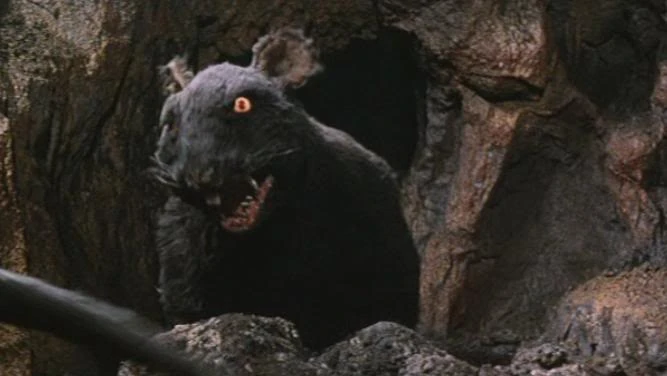 Giant Rat | Wikizilla | Fandom powered by Wikia