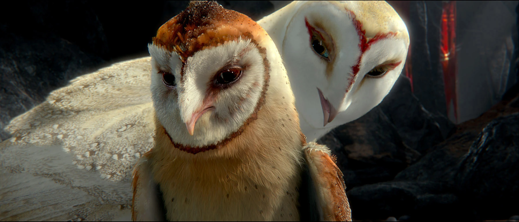 Image - 2010 legend of the guardians the owls of ga hoole 011.jpg ...