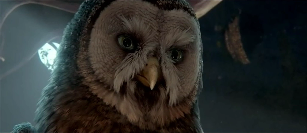 Allomere | Guardians of Ga’Hoole Wiki | FANDOM powered by Wikia