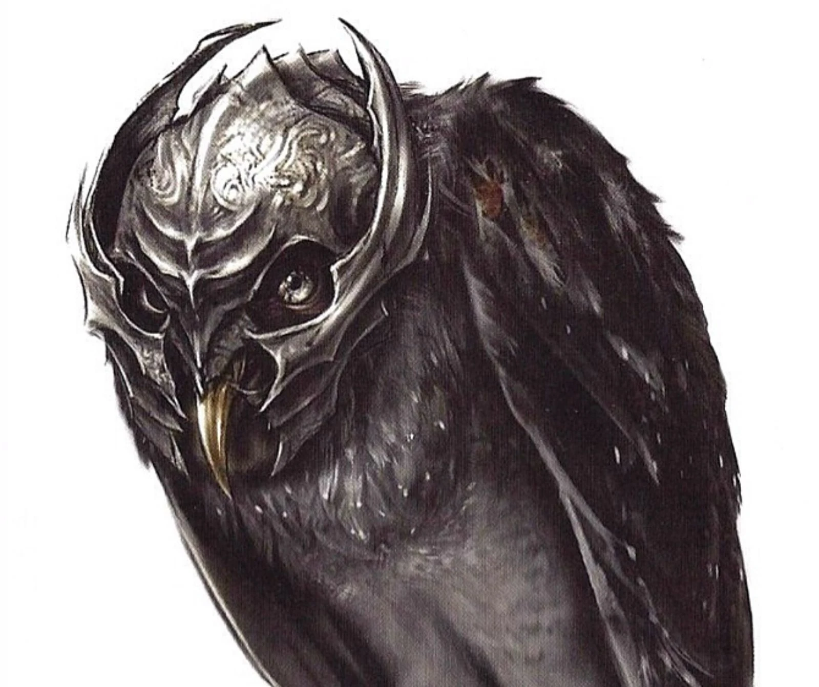 Image - Movie metal beak art.jpeg | Guardians of Ga’Hoole Wiki | FANDOM ...
