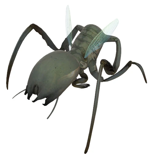 Antlion Worker | Half-Life Wiki | FANDOM powered by Wikia