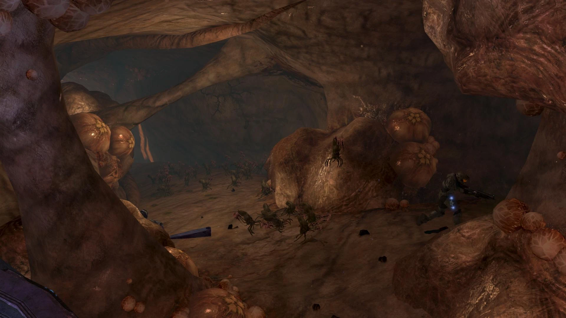 Gravemind Halopedia The Halo Wiki