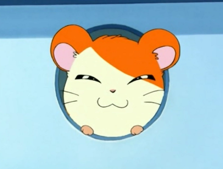 Hamtaro (Episode) | The Hamtaro Wiki | Fandom powered by Wikia