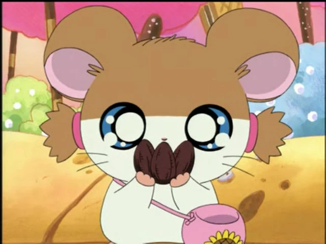 Image - 238.jpg | The Hamtaro Wiki | FANDOM powered by Wikia