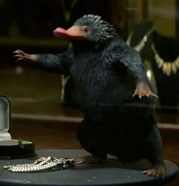 Niffleur | Wiki Harry Potter | Fandom powered by Wikia