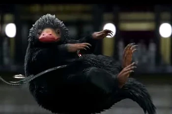 Niuchacz | Harry Potter Wiki | FANDOM powered by Wikia