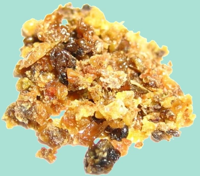 Opio | Wiki Herbolaria | Fandom powered by Wikia