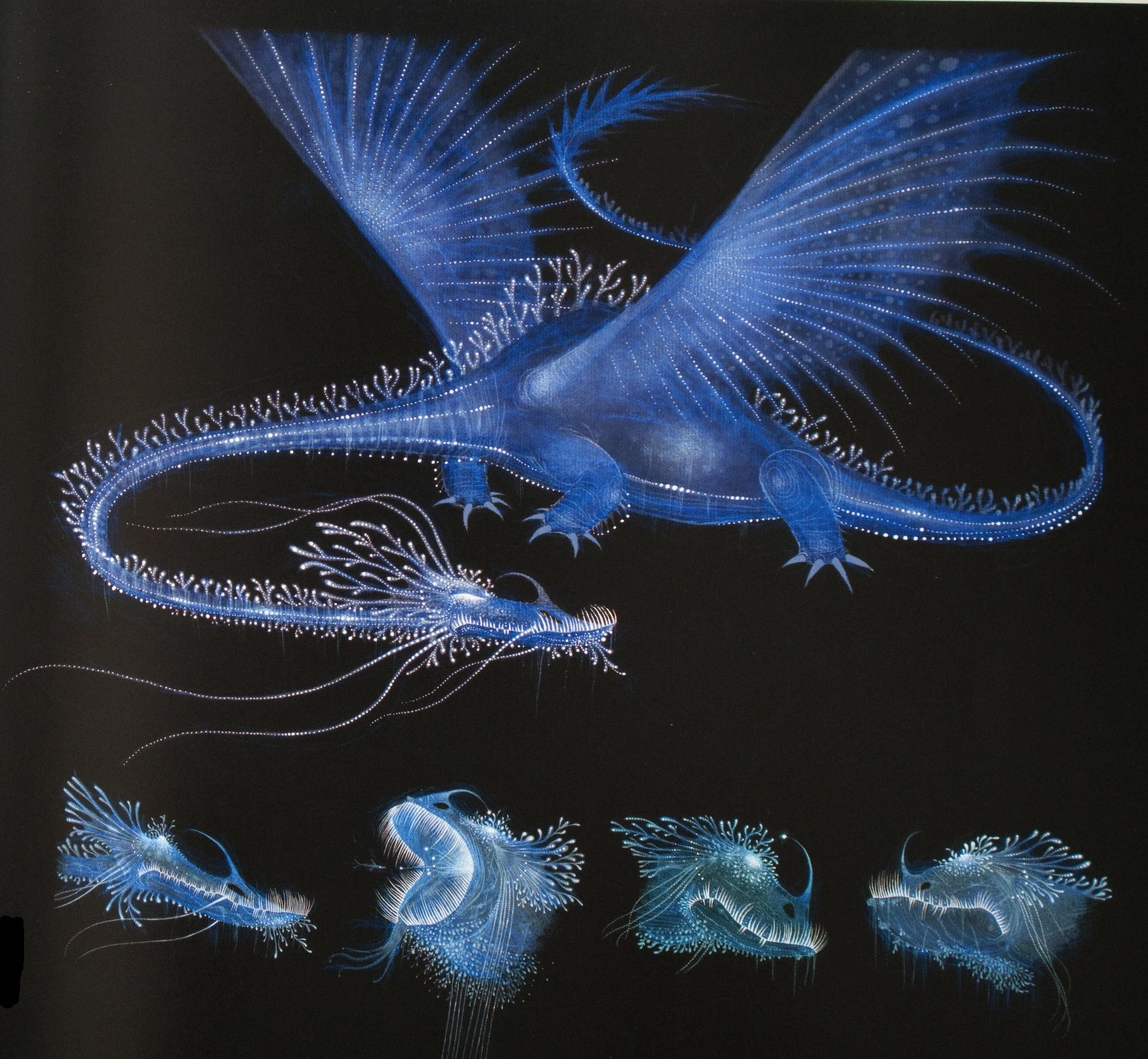 Image - Red Death Concept1.jpg | How to Train Your Dragon Wiki | FANDOM ...