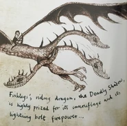 Deadly Shadow | How to Train Your Dragon Wiki | Fandom powered by Wikia