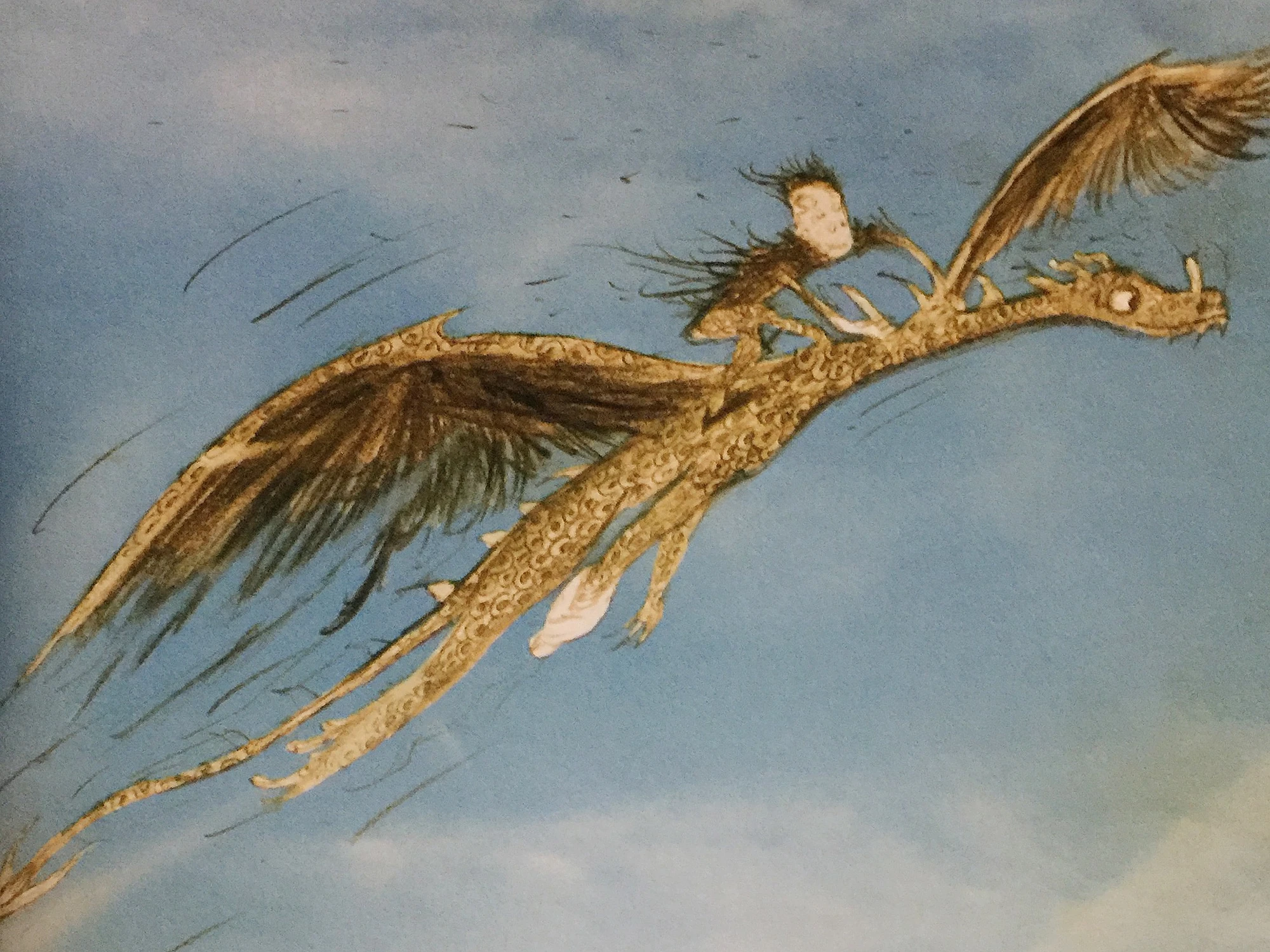 Windwalker (Books) | How to Train Your Dragon Wiki | Fandom powered by ...