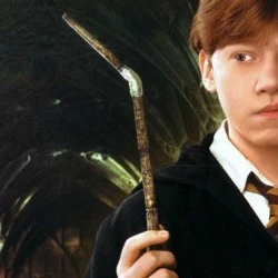 Ron Weasley's first wand | Harry Potter Wands Wiki | Fandom powered by ...