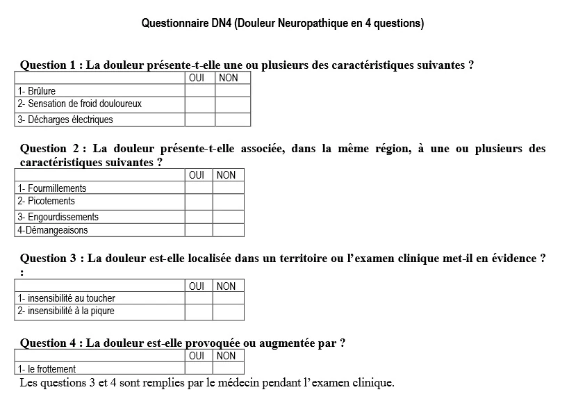EVA dn4 | Wiki IFES | Fandom powered by Wikia