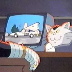 M.A.D. Cat | Inspector Gadget Wiki | Fandom powered by Wikia