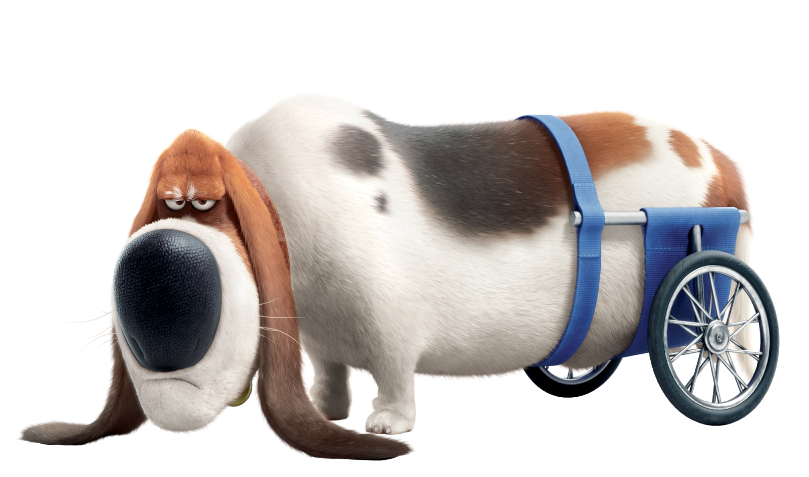 Pops (The Secret Life of Pets) | Jaden's Adventures Wiki | FANDOM ...