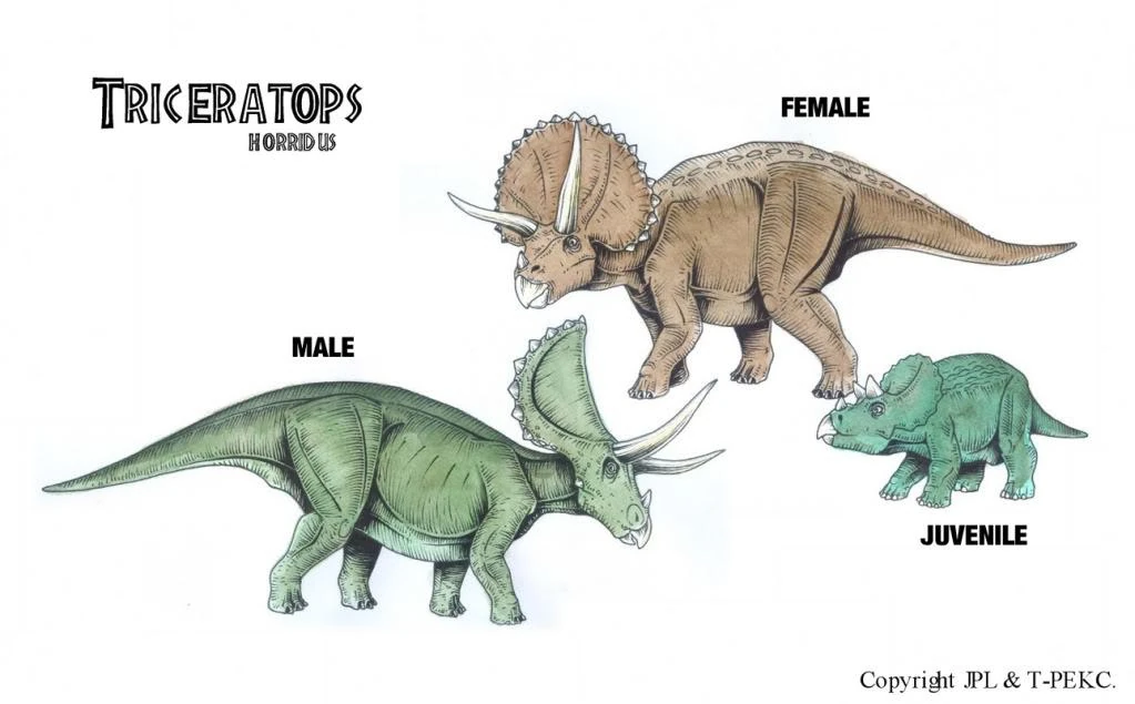 Image - Triceratops.jpg | JPL Live the Legend Wiki | FANDOM powered by ...