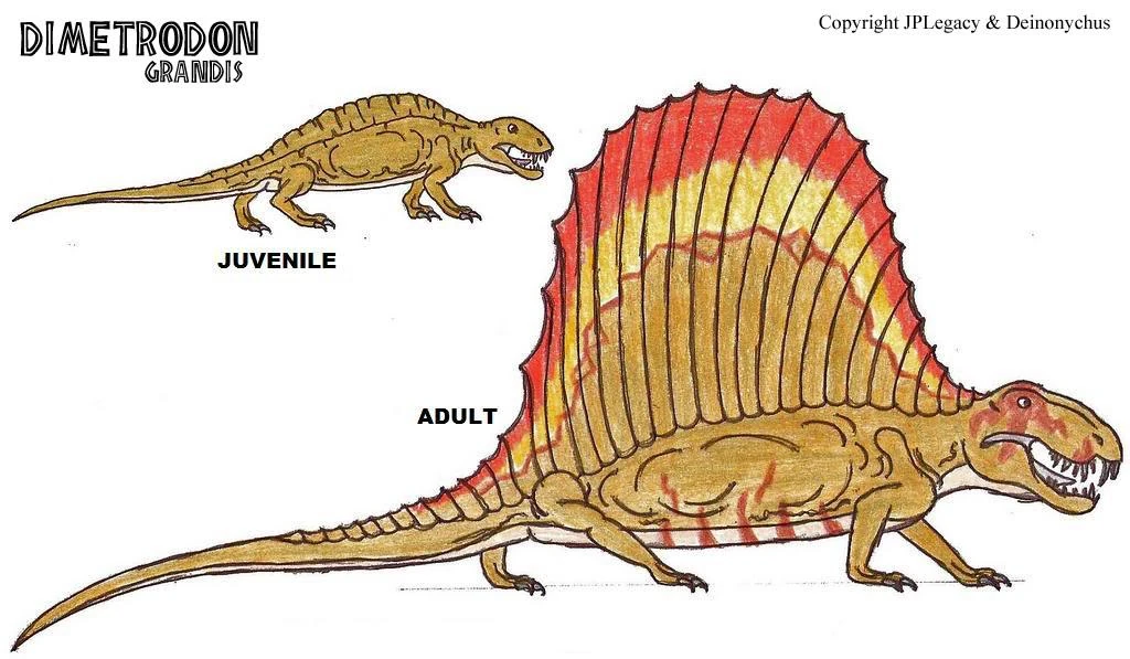 Edaphosaurus Vs Dimetrodon