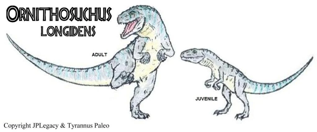 Ornithosuchus Size