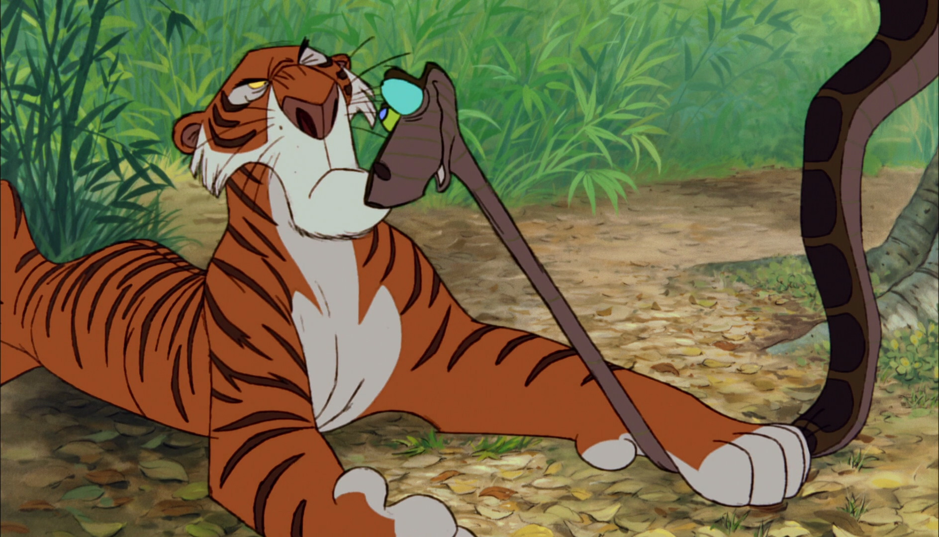 Image Shere Khan The Tiger Doesnt Want To Be Hypnotized By Kaa The Python Jungle Book