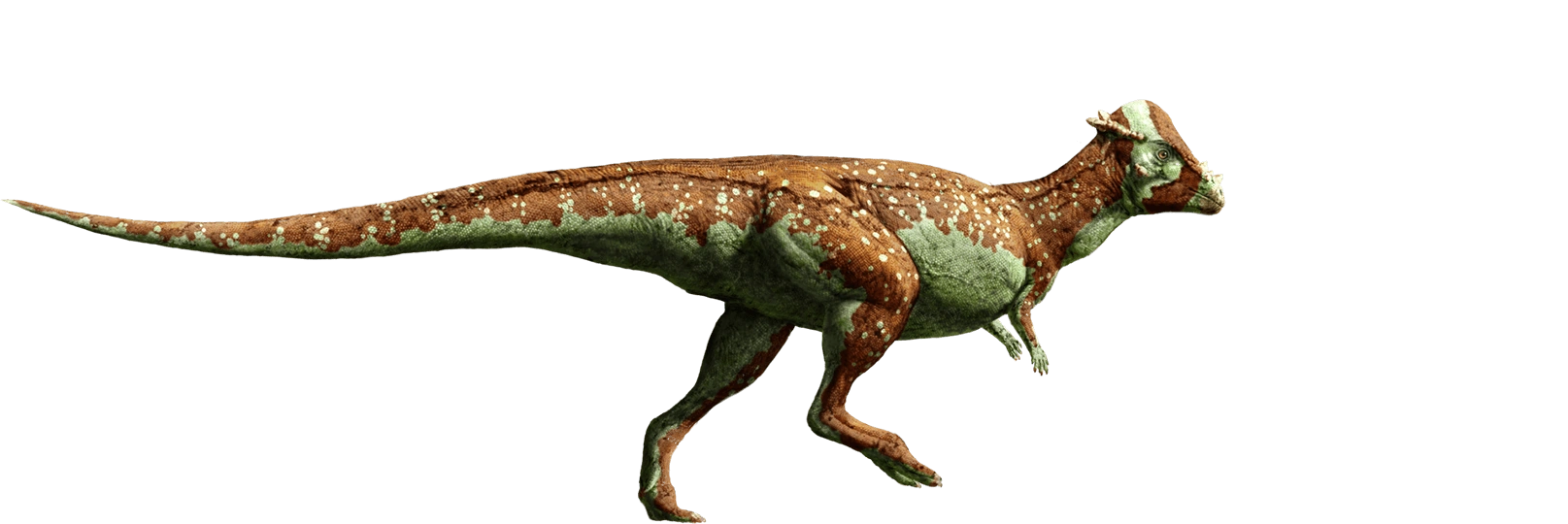 Imagen - Pachycephalosaurus-detail-header.png | Jurassic Park Wiki ...