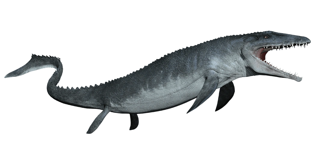 Mosasaurus | Wikia Jurassic Park | FANDOM powered by Wikia