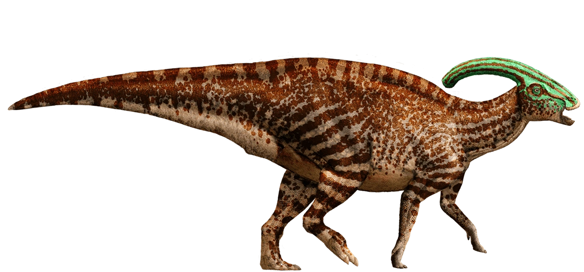 Parasaurolophus | JP-Wiki | FANDOM powered by Wikia