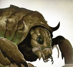 Decarnocimex | King Kong Wiki | FANDOM powered by Wikia